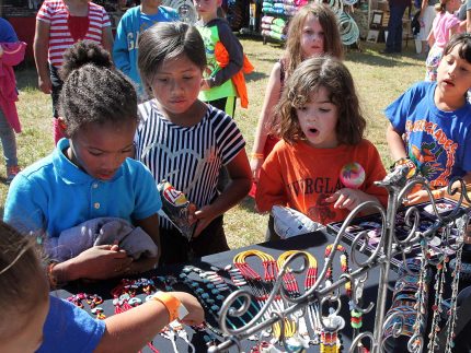Brighton Field Day Festival – February 19-22, 2026 V2 - Brighton Field ...